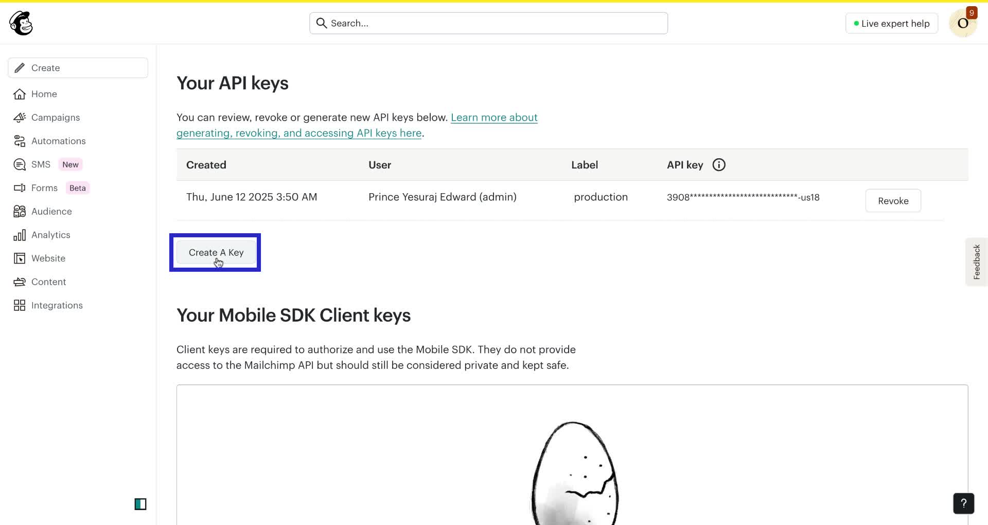 How to Get Mailchimp API Key? - Mailchimp Tutorials