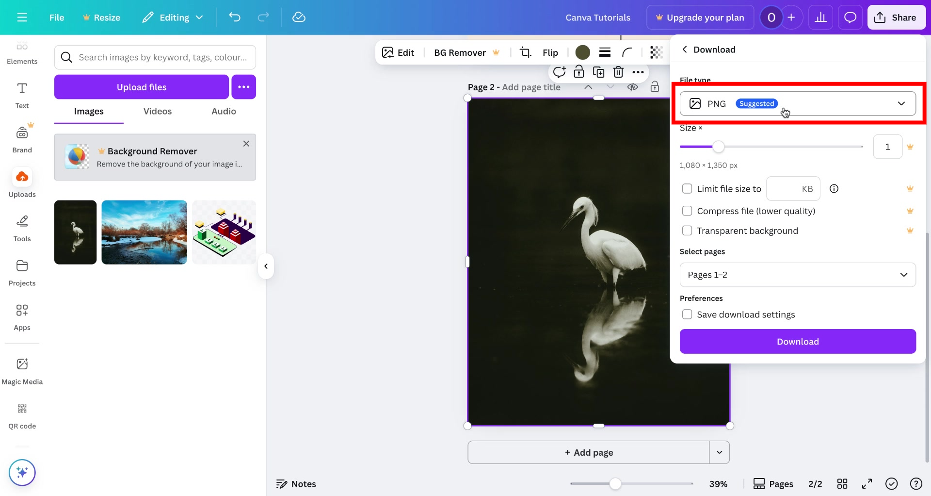 How to Use Canva HEIC to JPG Converter? - Canva Tutorials