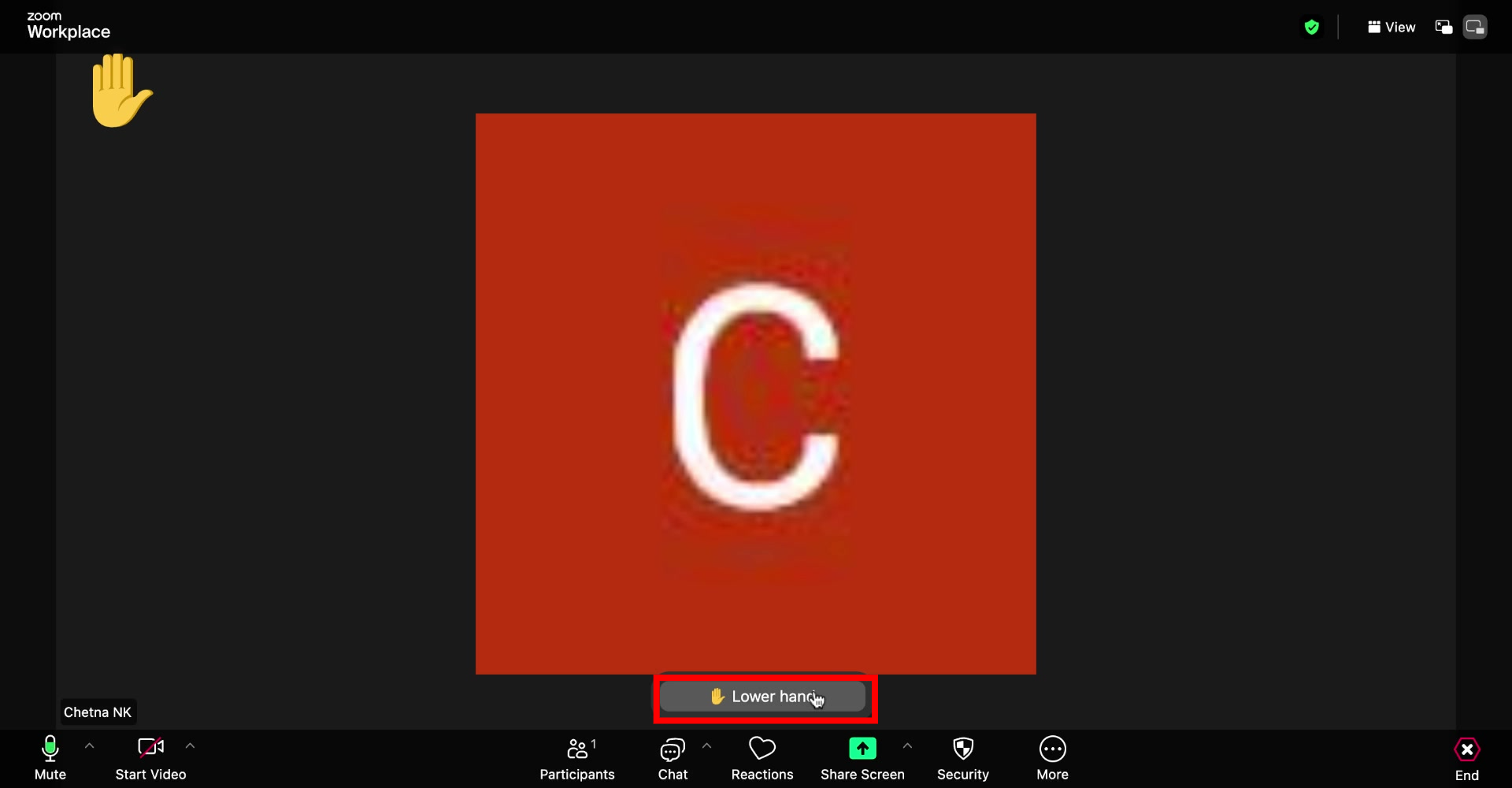 How to Rasie Hand During a Zoom Meeting? - Zoom Tutorials